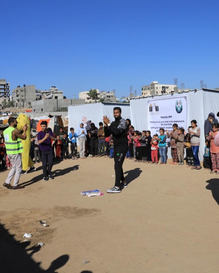 Some of PfP's efforts in Gaza - Playgrounds for Palestine